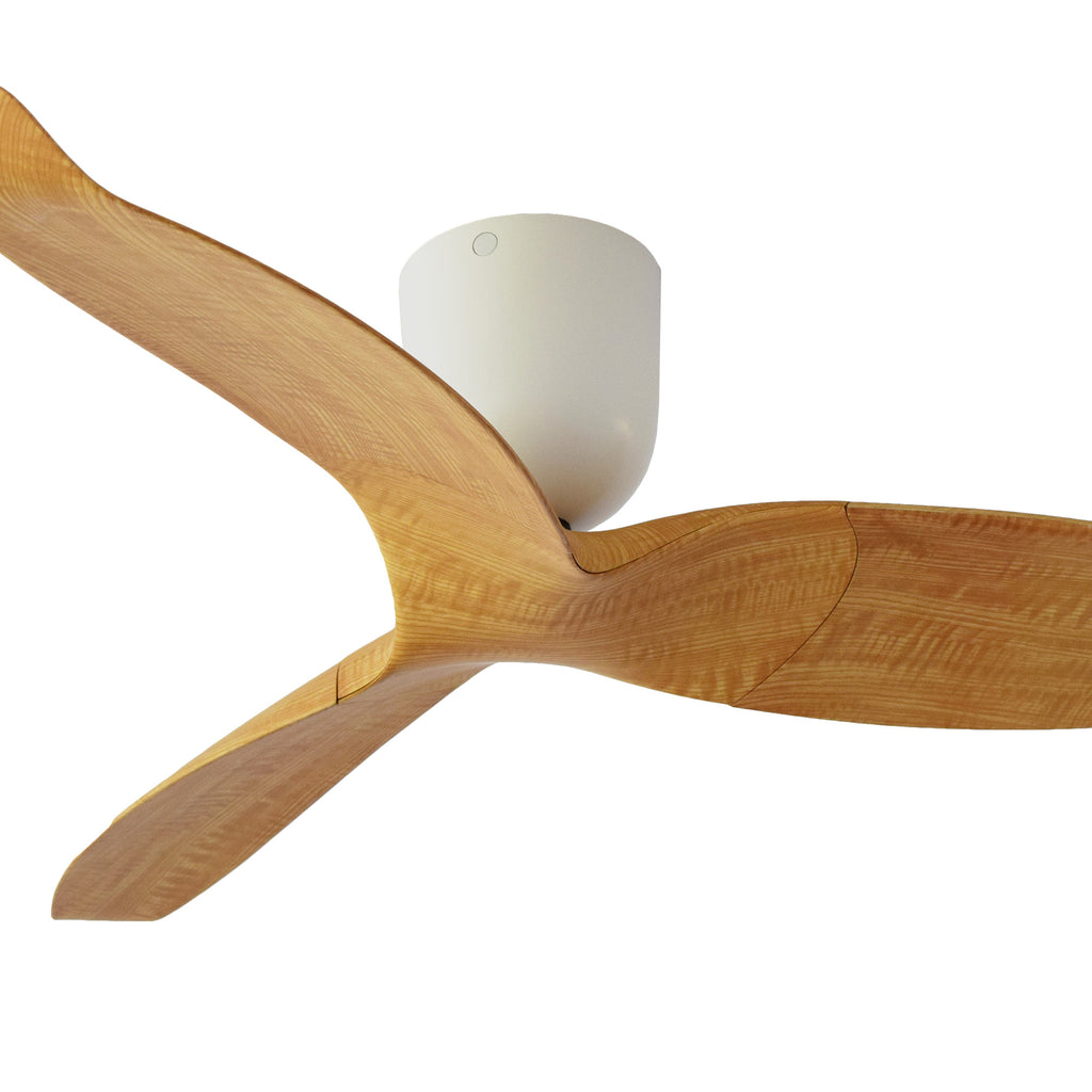 Aeratron AE3+3 Blade ABS DC Remote Control Ceiling Fan – Roundabout ...